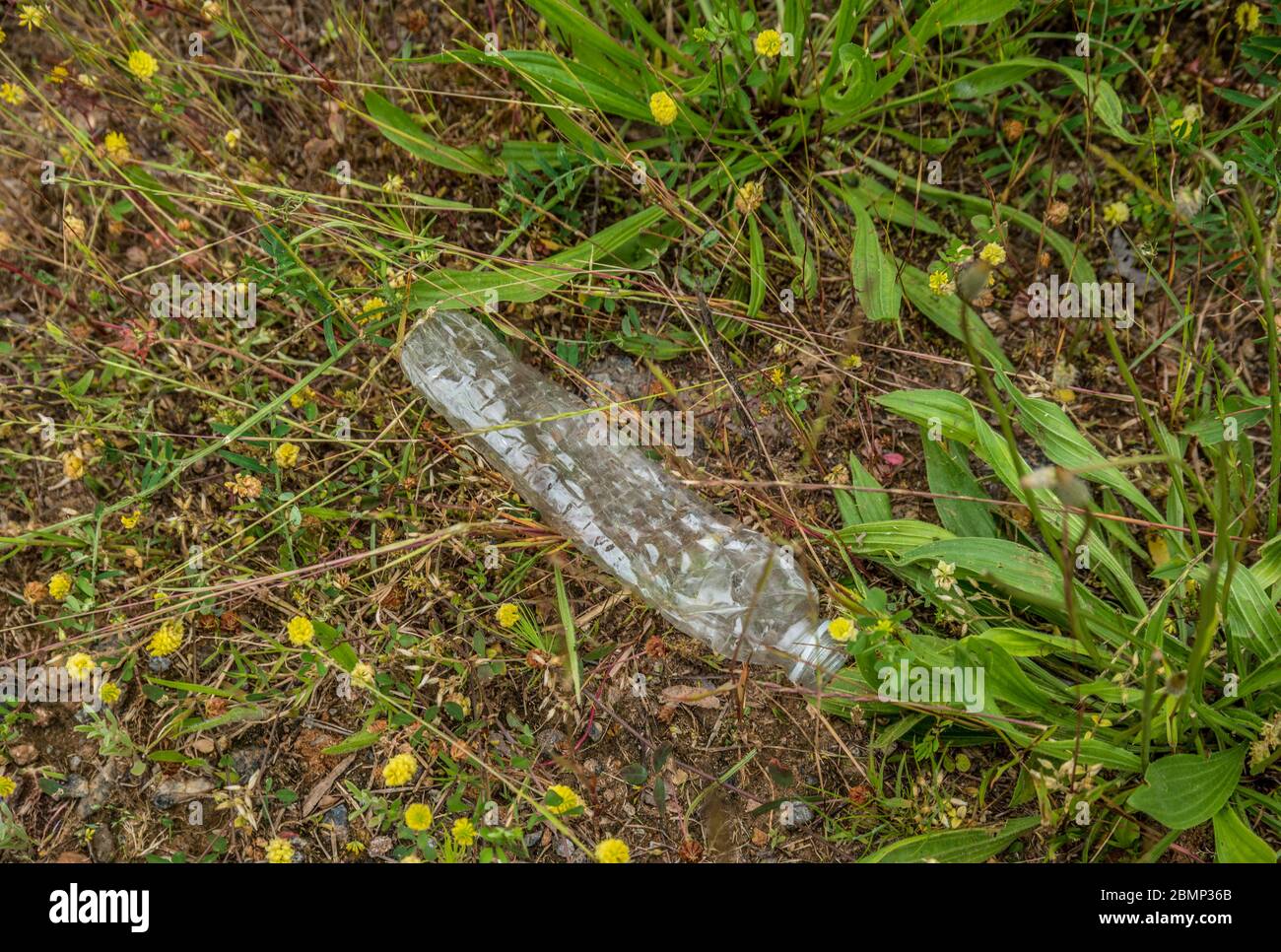 A empty used discarded recyclable plastic bottle dumped along the ...