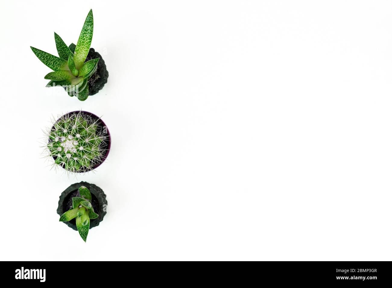 Lay out of garden Cut Out Stock Images & Pictures - Alamy