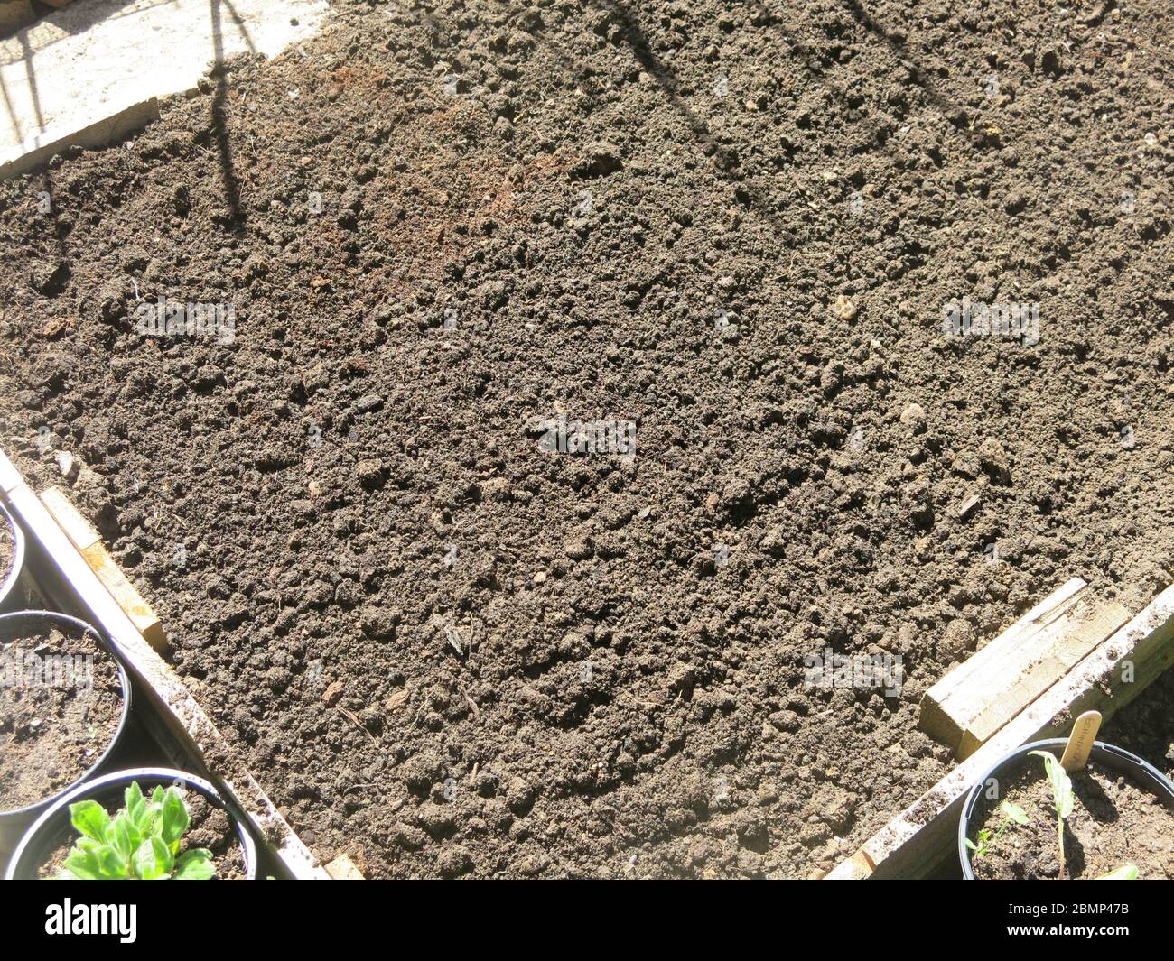 Photo of a small raised bed on a vegetable plot, where the soil has ...