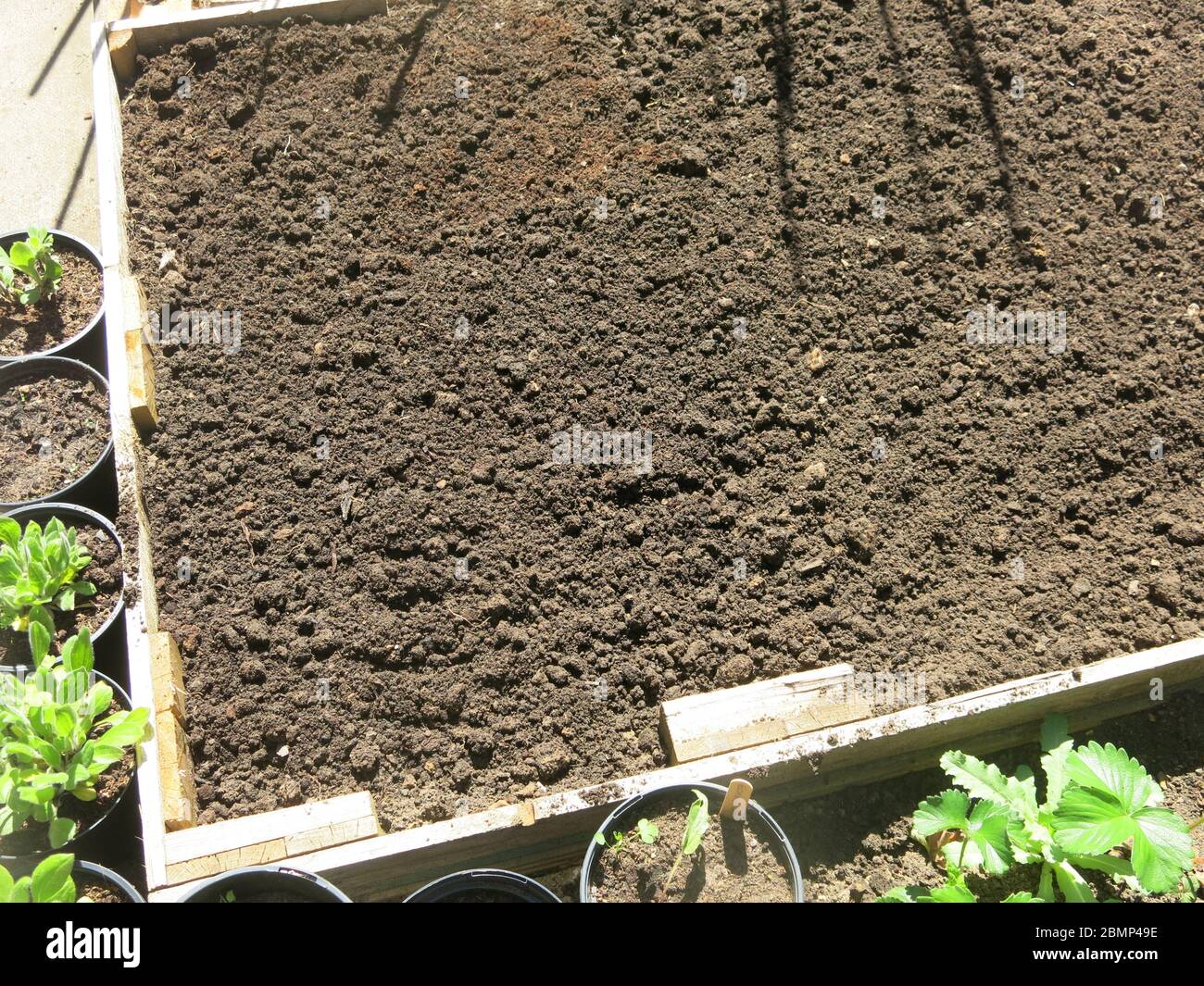 Photo of a small raised bed on a vegetable plot, where the soil has ...