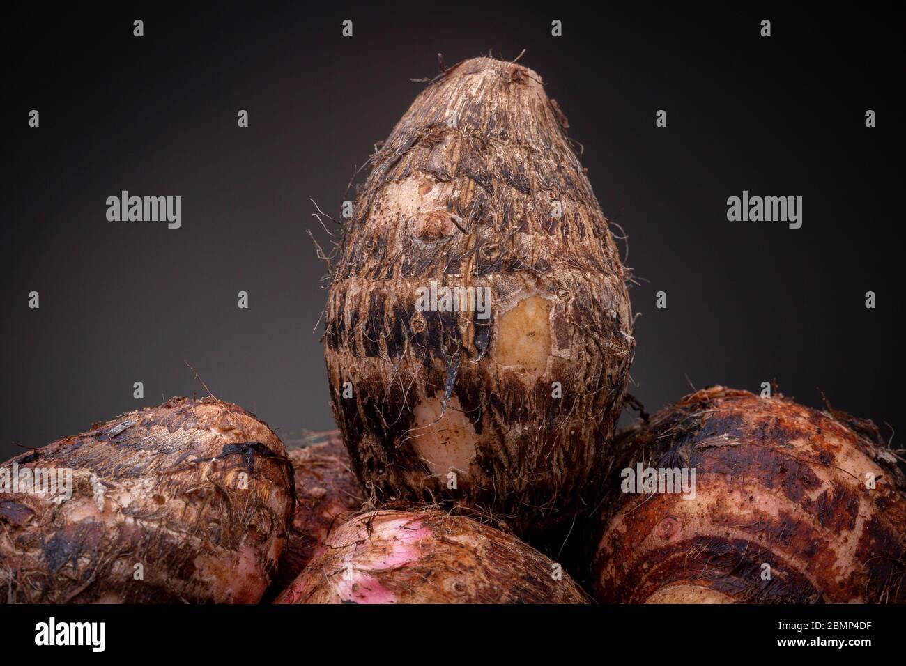 Cush cush hi-res stock photography and images - Alamy