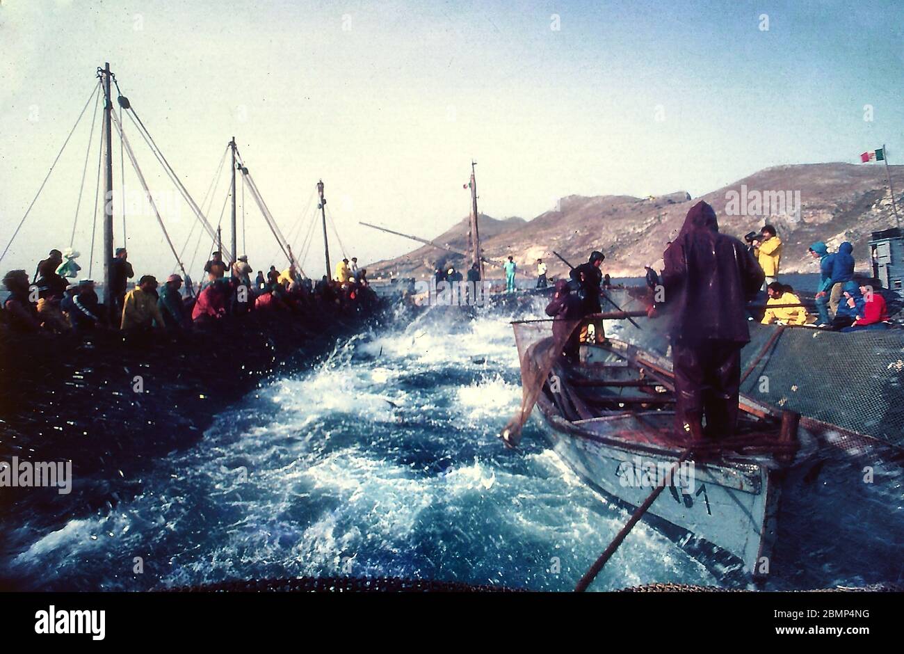 Aegadian Islands, Sicily, Italy. May 1983. Tonnara and mattanza. Tuna ...