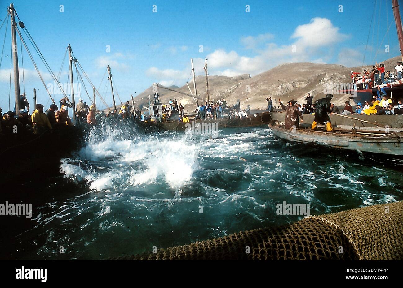 Aegadian Islands, Sicily, Italy. May 1983. Tonnara and mattanza. Tuna ...
