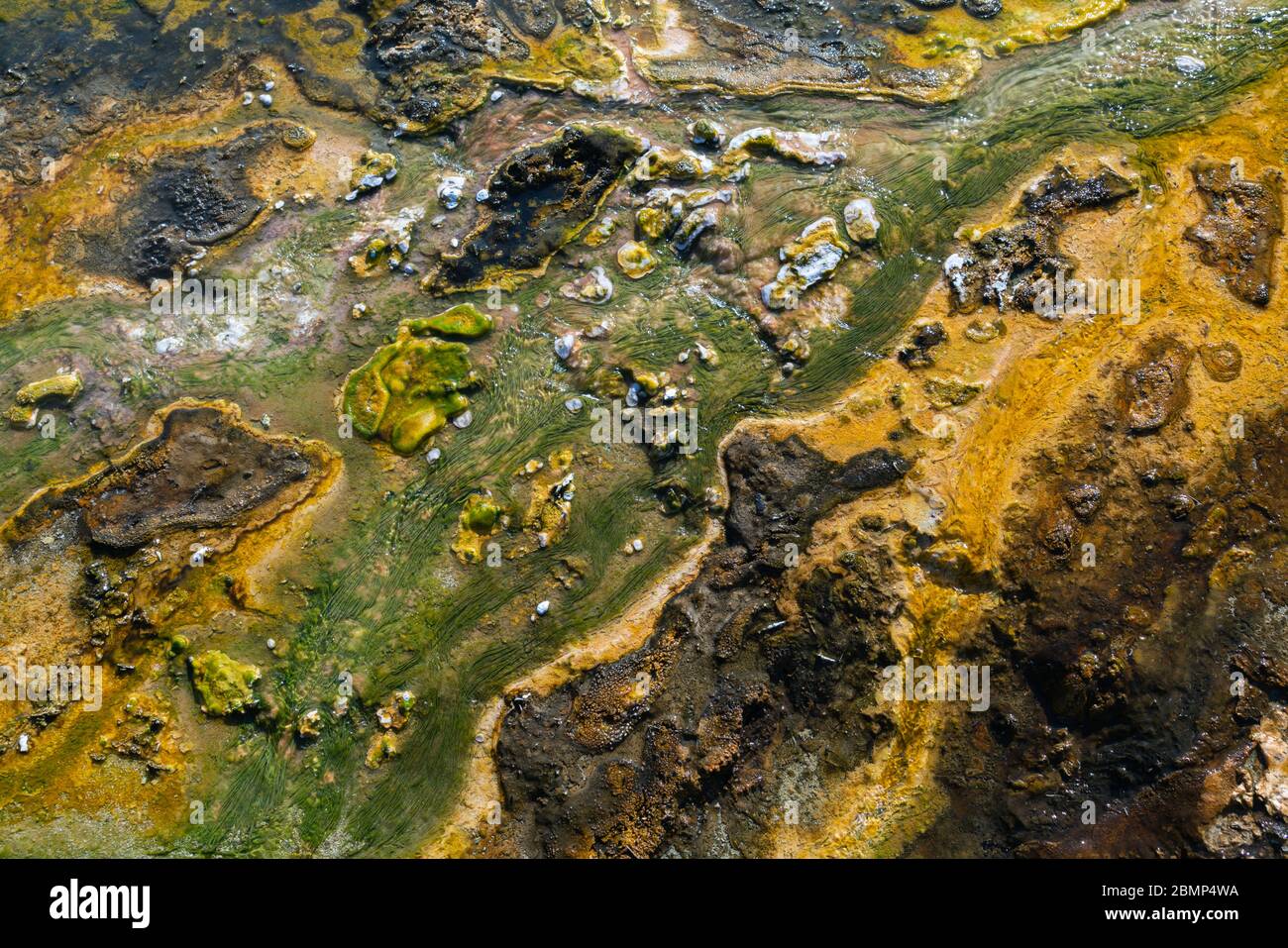 Abstract background texture of organic random bright colours and ...