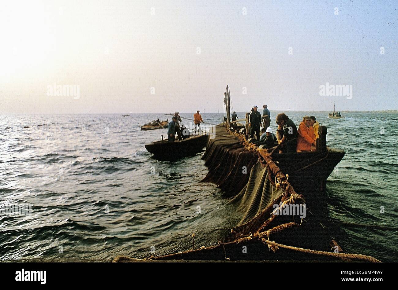 Haul in the nets hi-res stock photography and images - Alamy