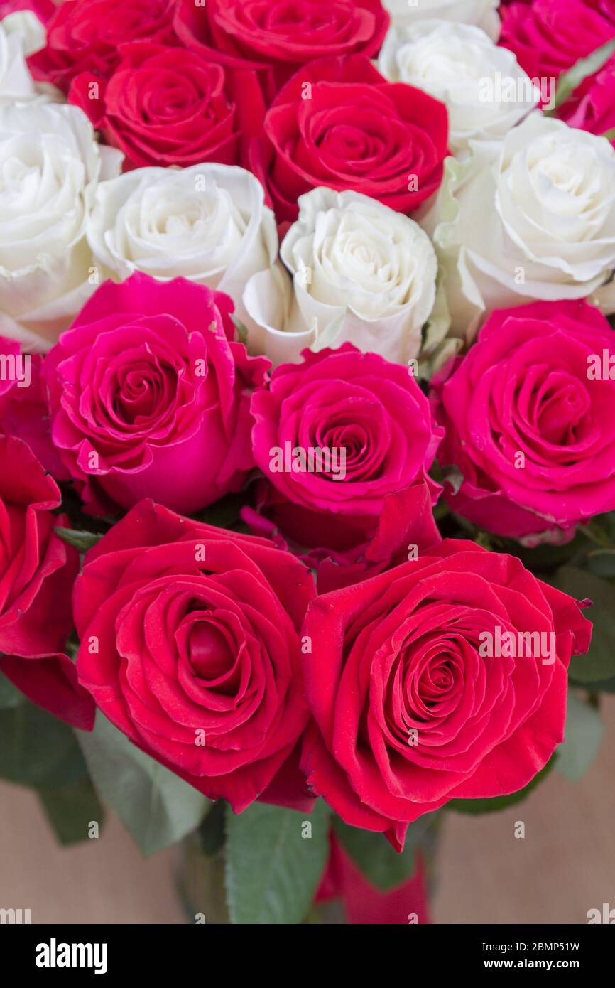 Multi colored bouquet hi-res stock photography and images - Alamy