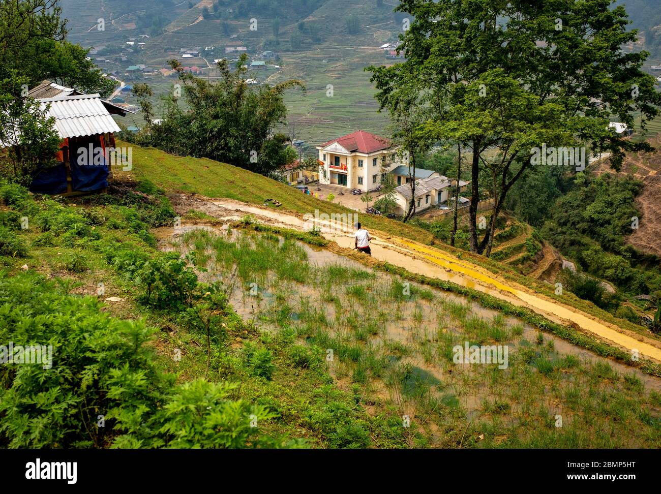 Sapa rice field hi-res stock photography and images - Alamy