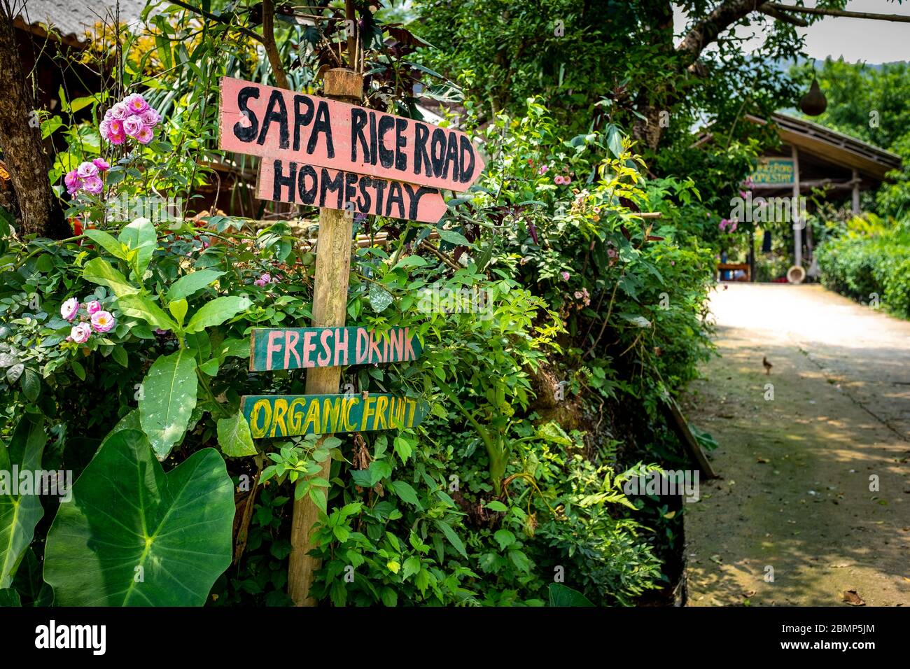 Sa pa location hi-res stock photography and images - Alamy
