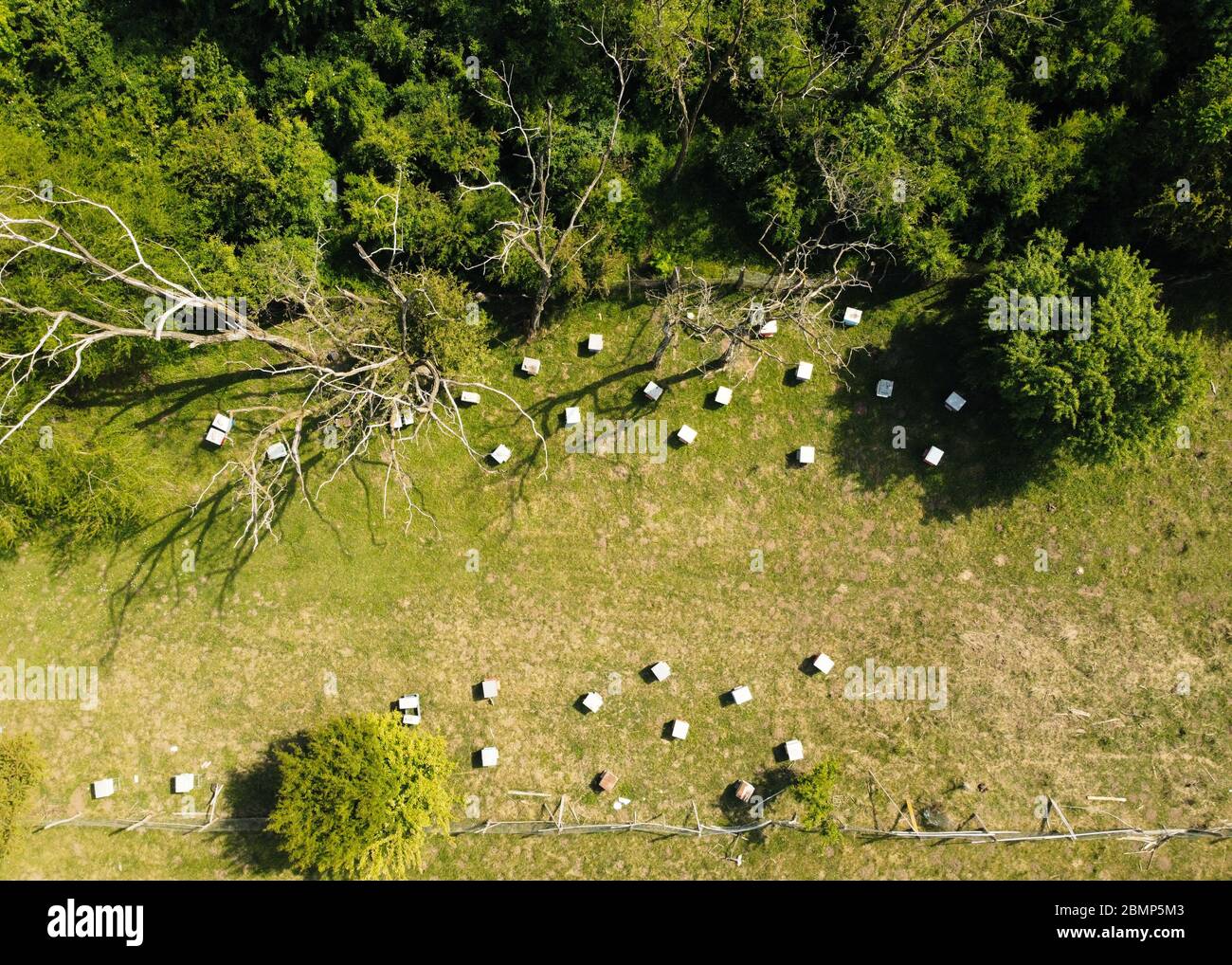 Aerial view of a green meadow surrounded by trees and an apiary Stock ...