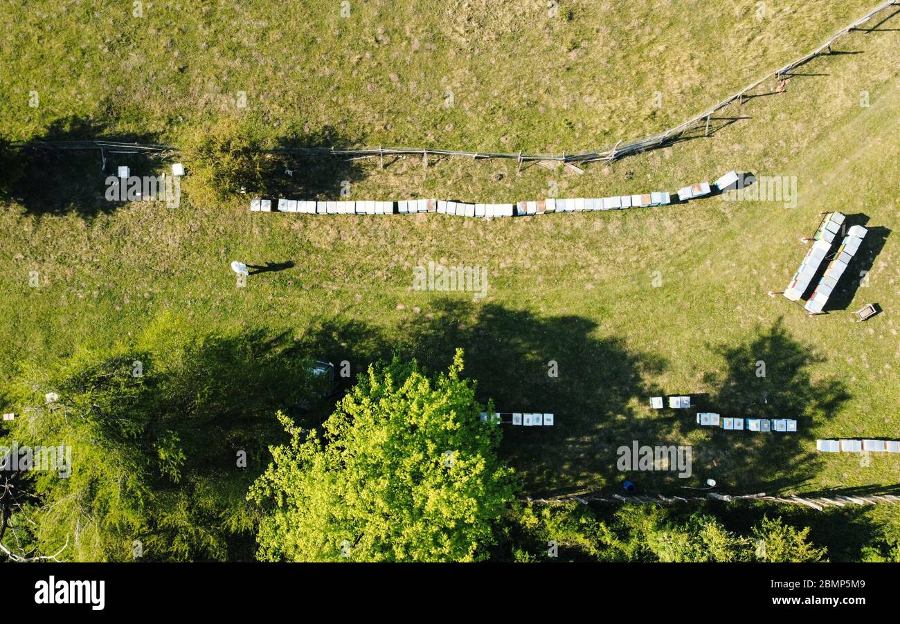 Top down aerial view beekeeper hi-res stock photography and images - Alamy