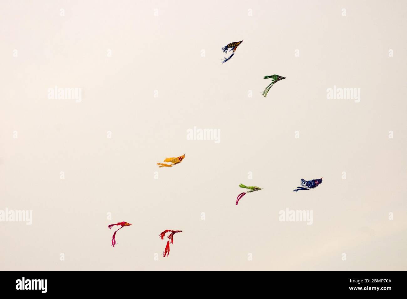 Multiple kites flying hi-res stock photography and images - Alamy