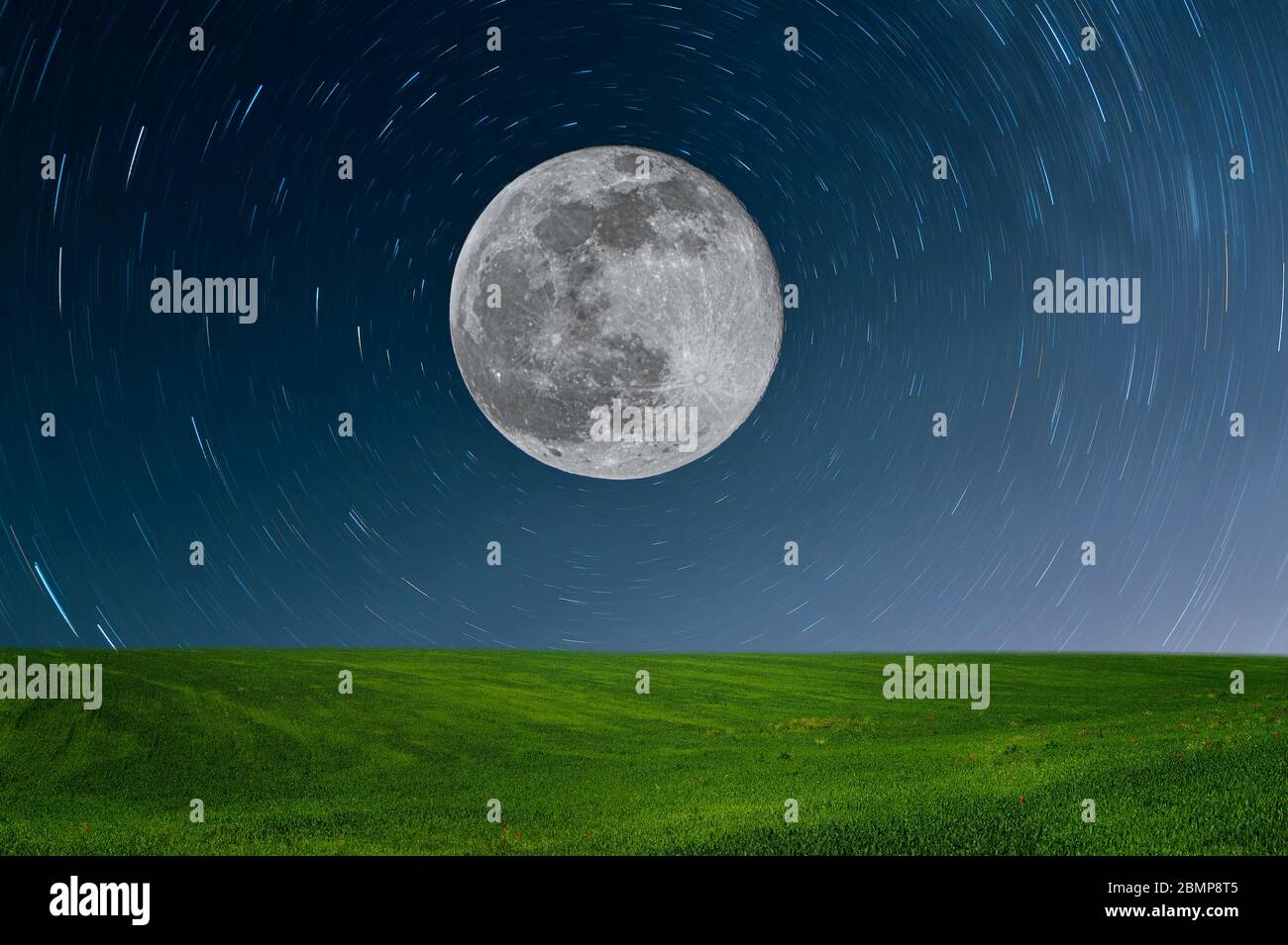 Meadow at night in full moon light. Landscape with green field and star ...