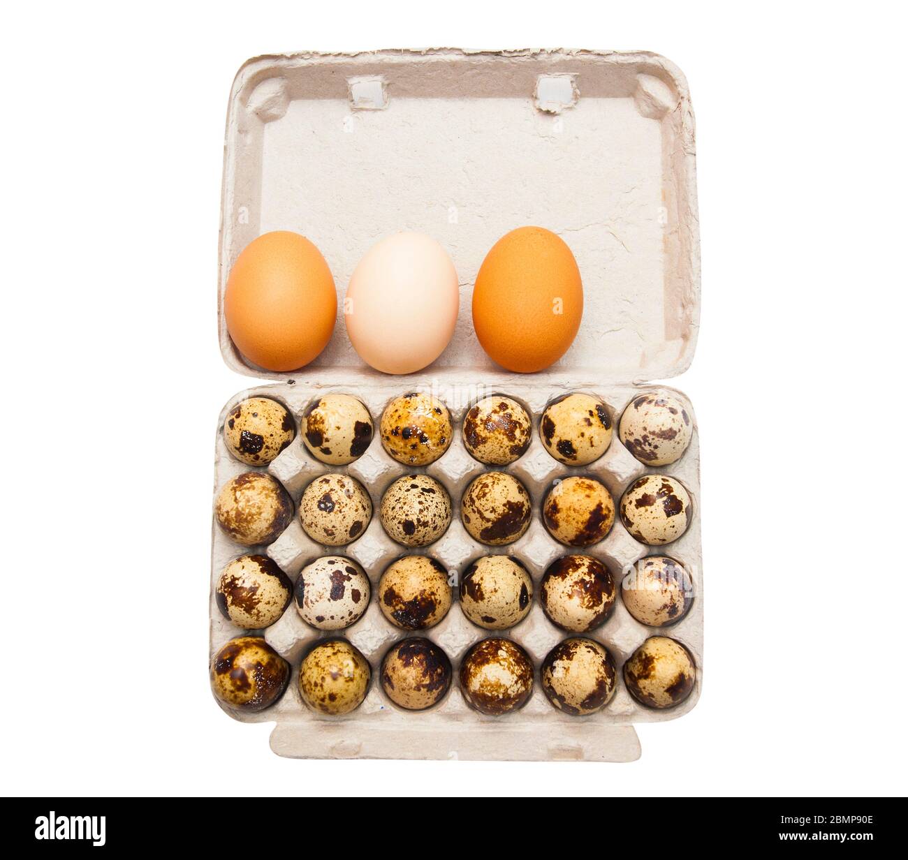 pack of quail and chicken eggs formwork isolated on white. healthy food ...