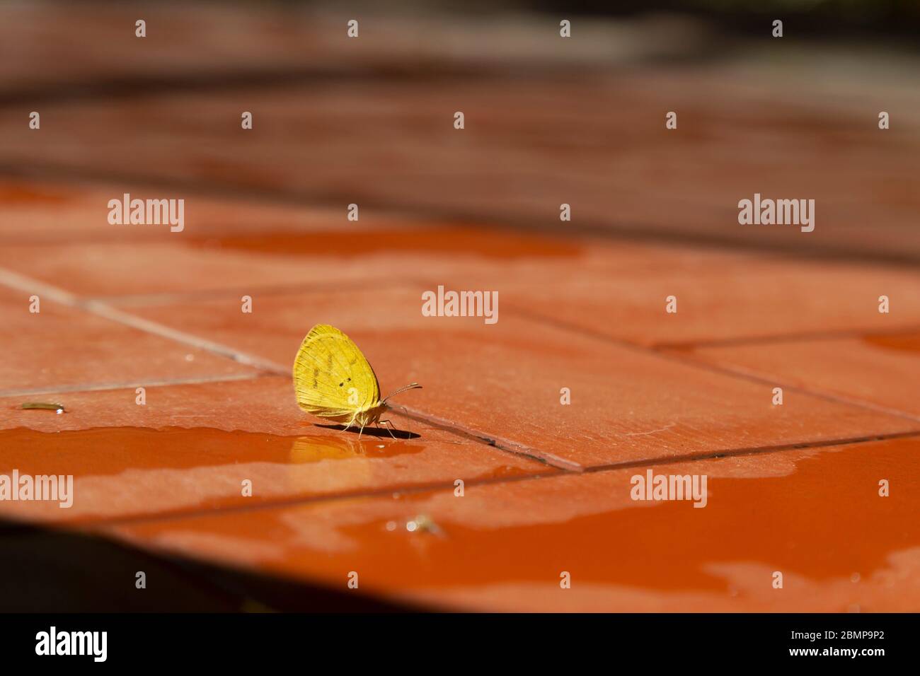 91 degrees fahrenheit hi-res stock photography and images - Alamy