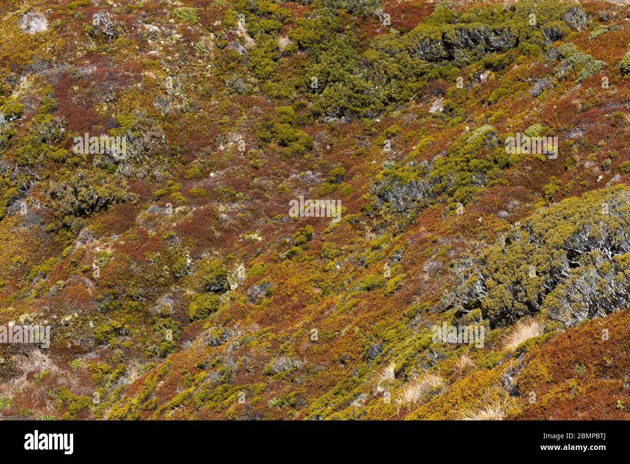 Abstract background random texture of brightly coloured low level ...