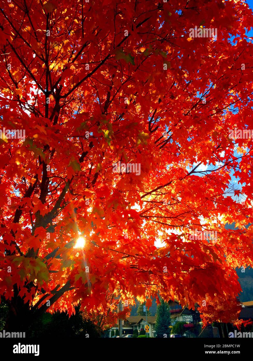 Delightful journey hi-res stock photography and images - Alamy