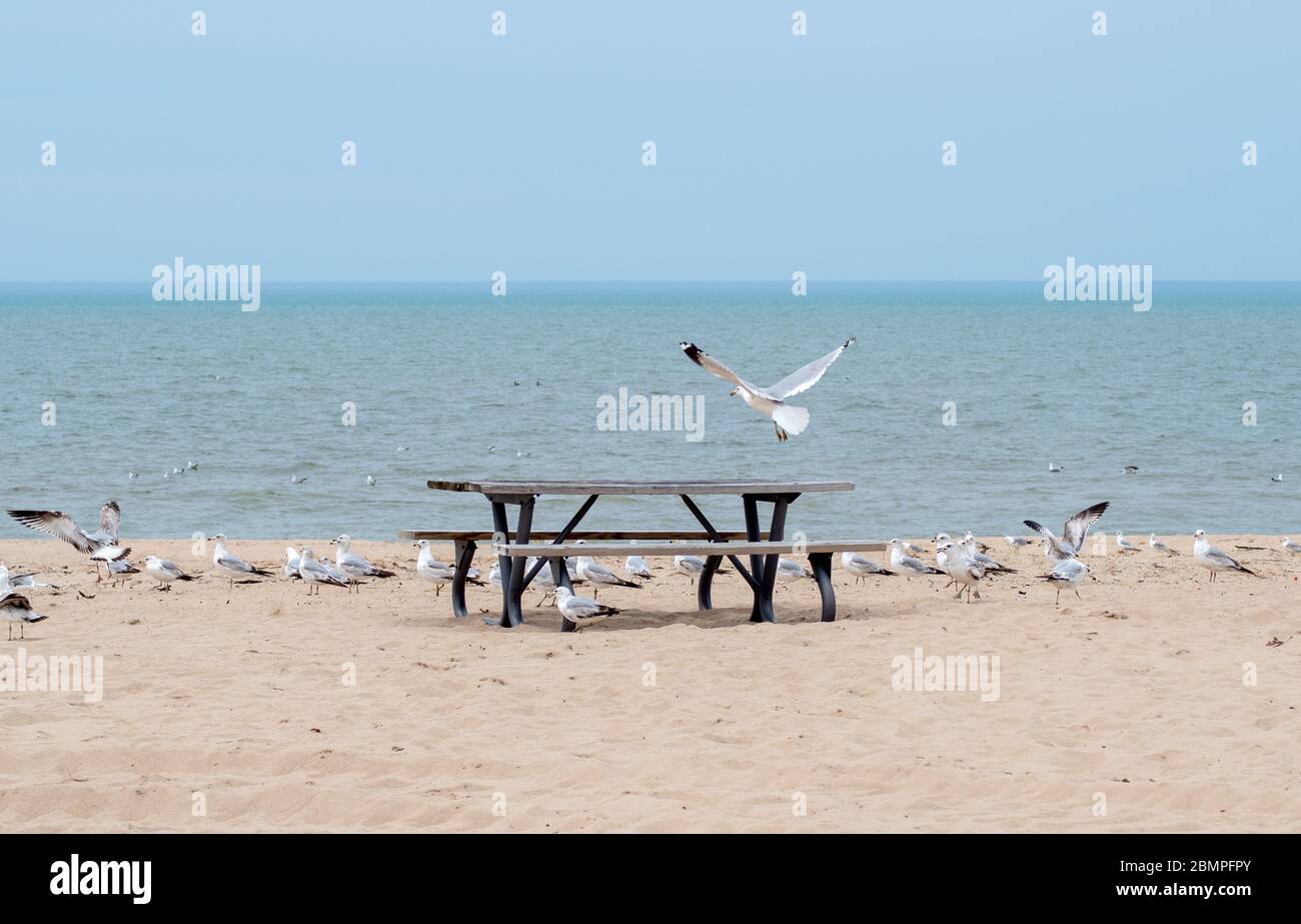 Empty lock down beach hi-res stock photography and images - Alamy