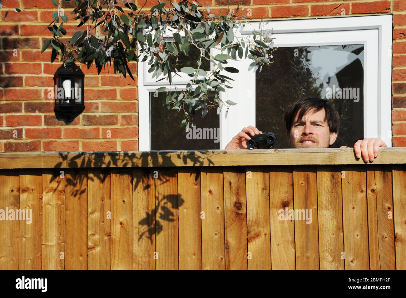 Man watching over fence hi-res stock photography and images - Alamy