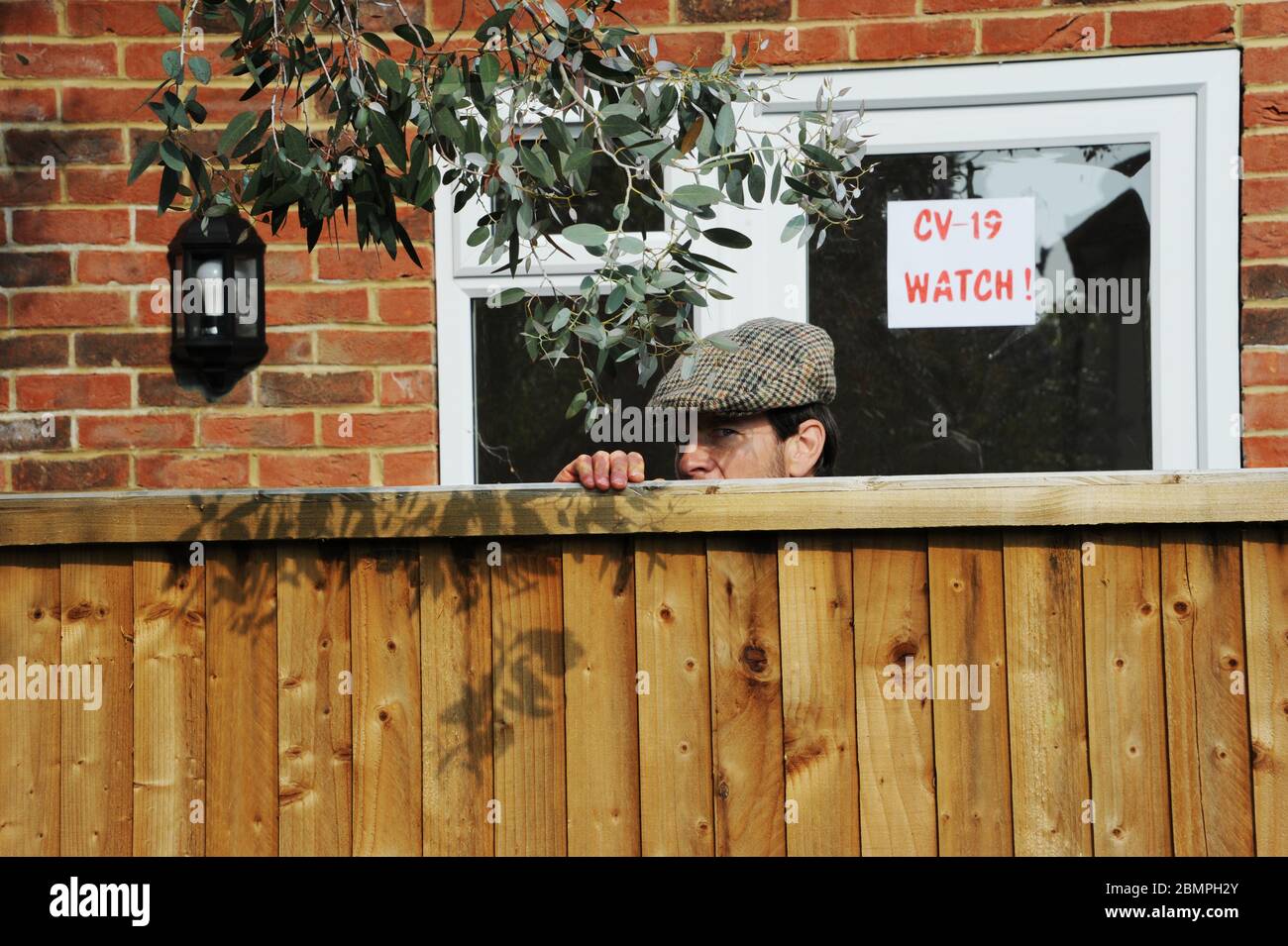 Man spying fence hi-res stock photography and images - Alamy