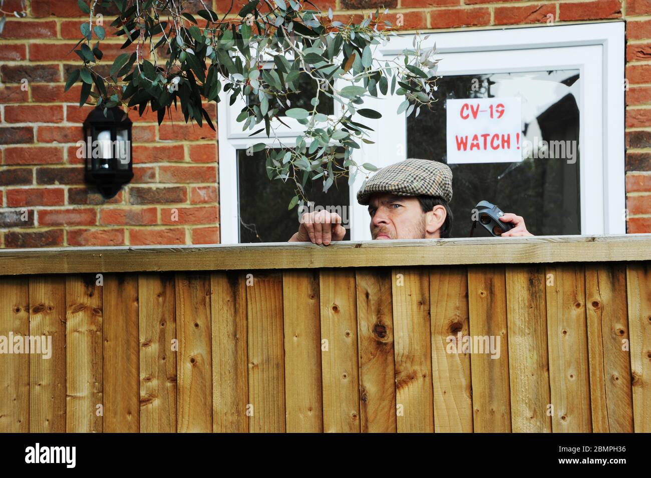 Man peeping fence High Resolution Stock Photography and Images - Alamy