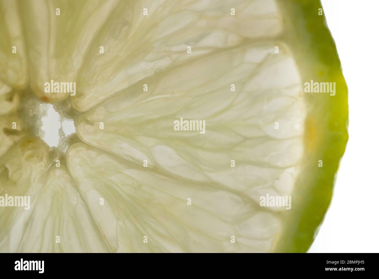 close-up macro photograph of a slice of lime against a bright white ...