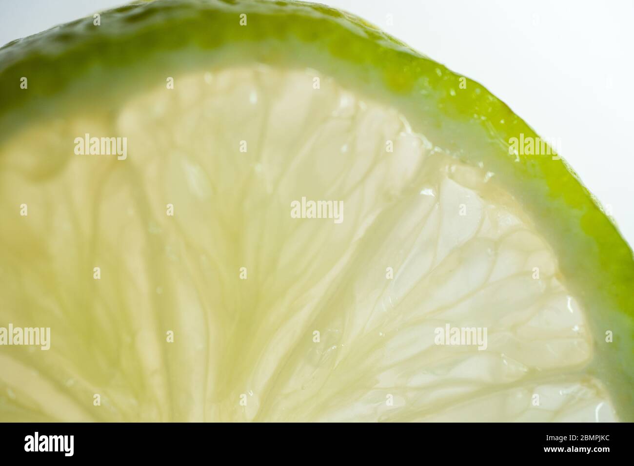 close-up macro photograph of a slice of lime against a bright white ...