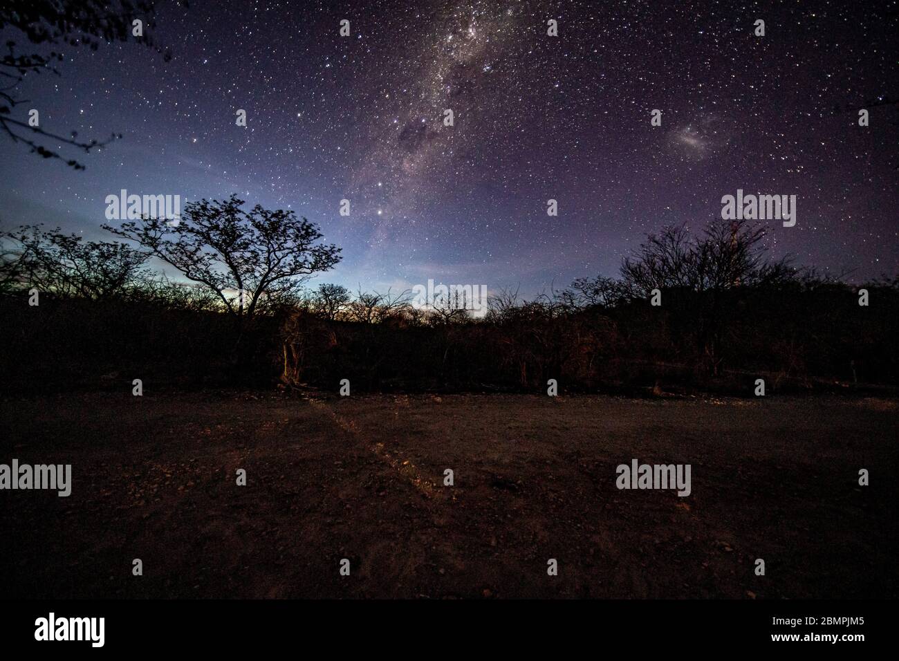 The night skies over Etosha National Park at the Halali Camp in Namibia ...