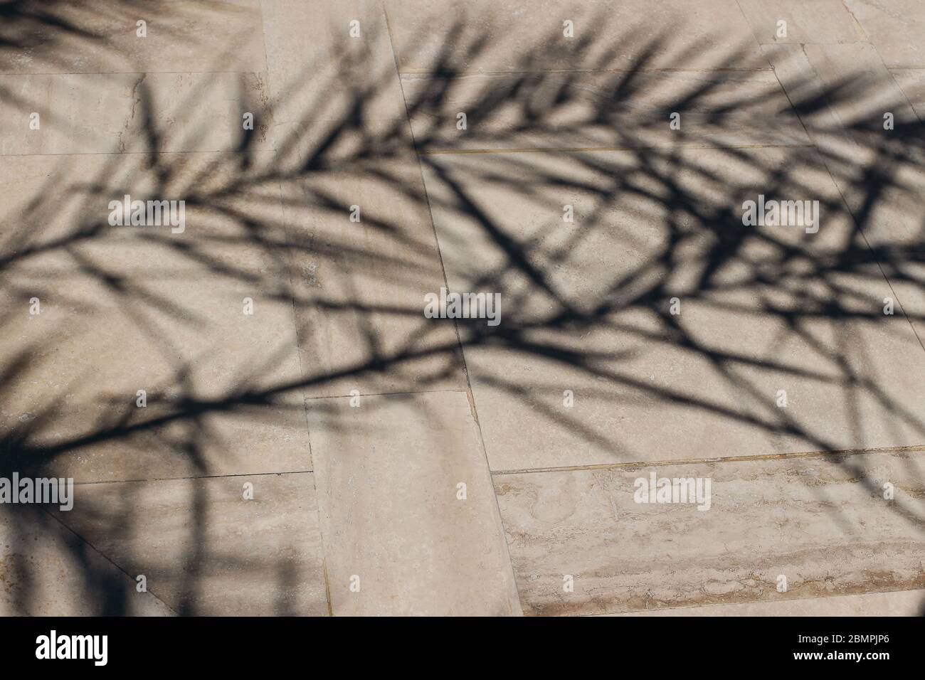 Date palm leaves shadows on beige marble stone ground background. Dark ...
