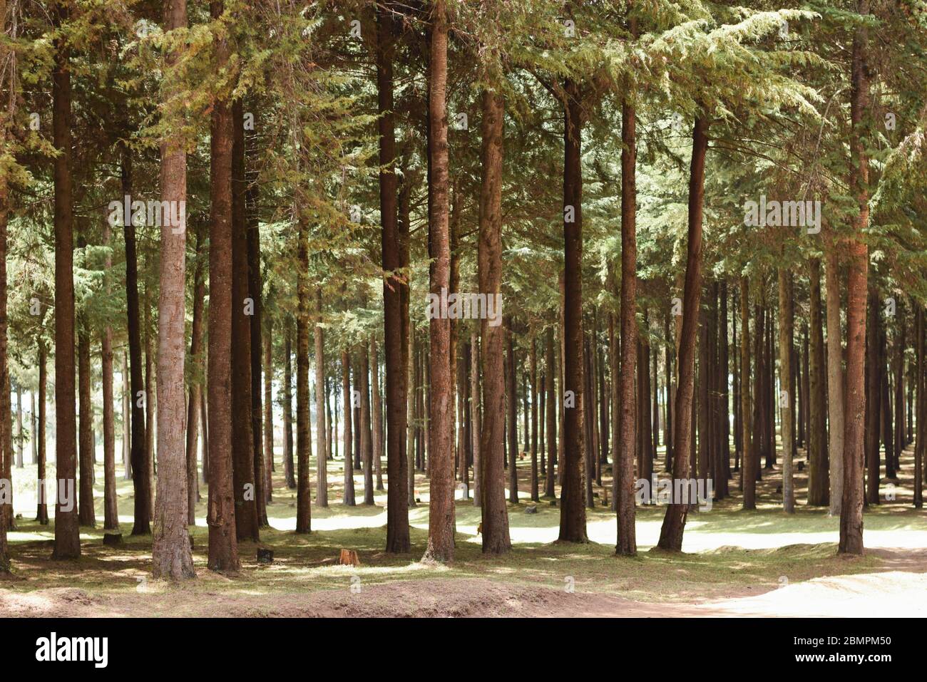 Aberdare ranges hi-res stock photography and images - Alamy
