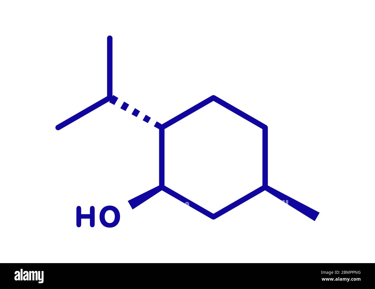Mentha piperita illustration hi-res stock photography and images - Alamy