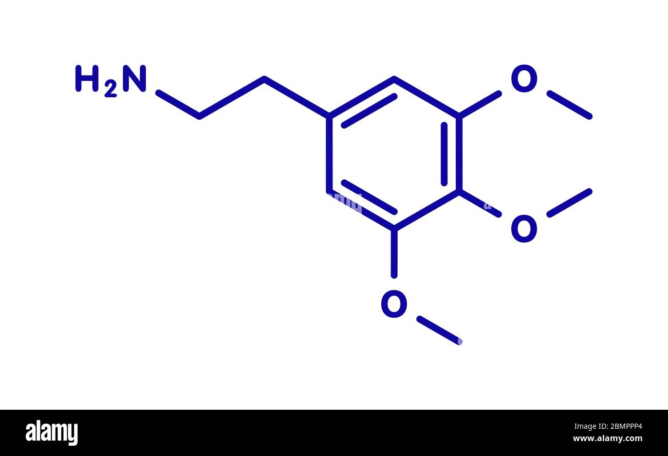 Mescaline peyote cactus psychedelic molecule. Skeletal formula Stock ...