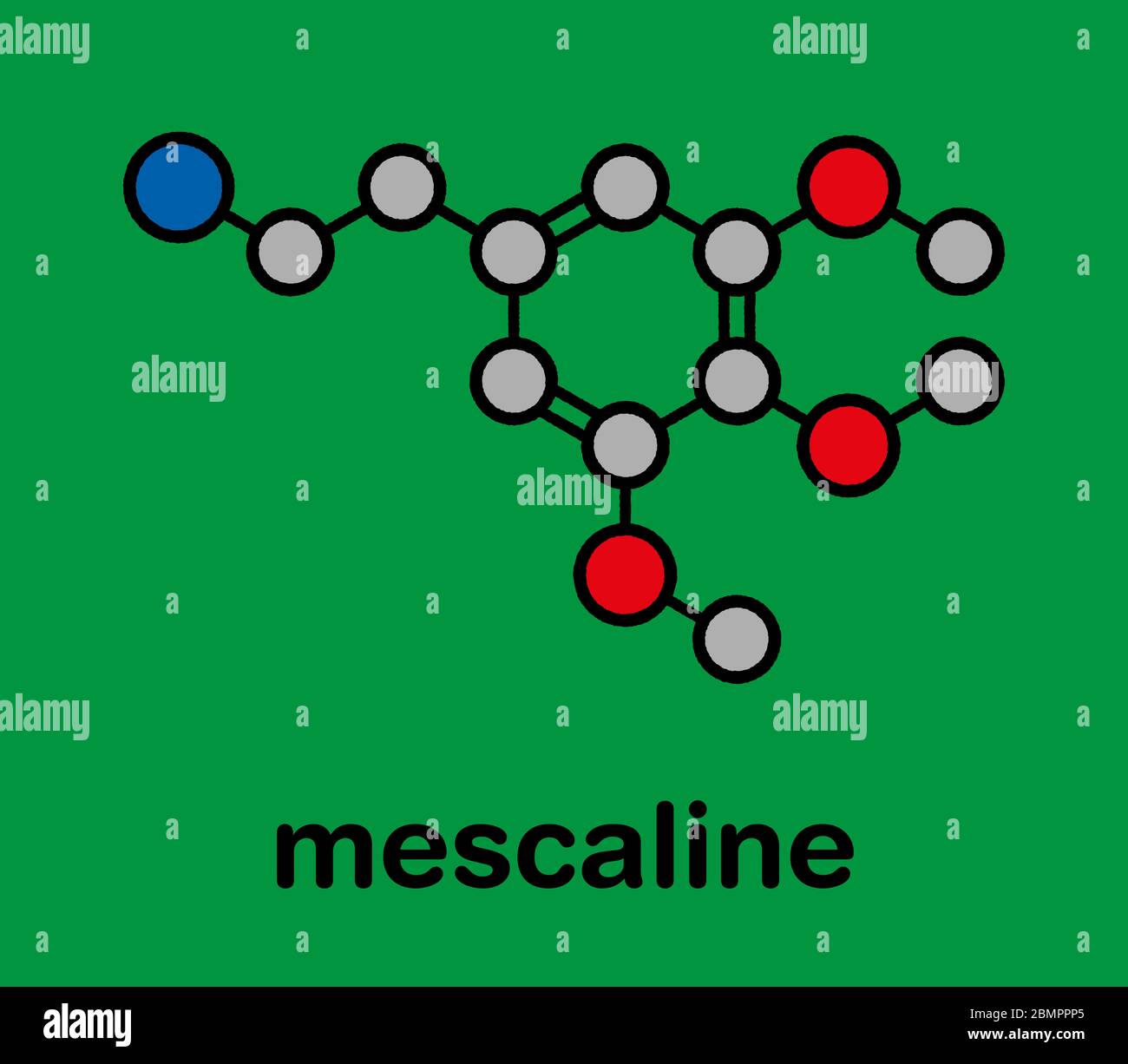 Mescaline peyote cactus psychedelic molecule. Stylized skeletal formula ...