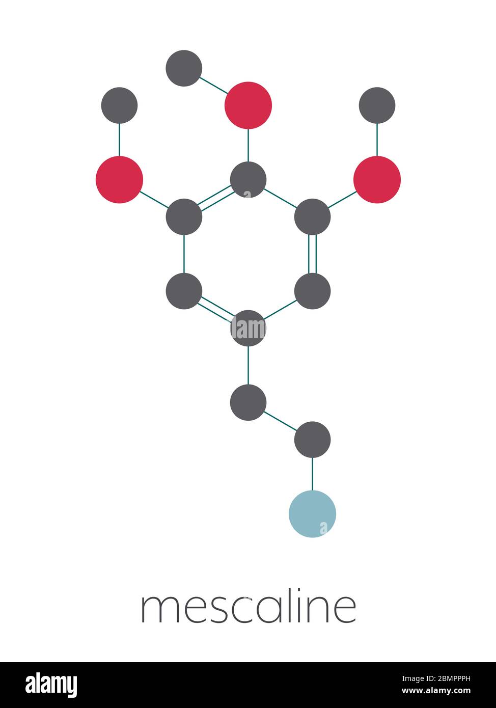 Mescaline peyote cactus psychedelic molecule. Stylized skeletal formula ...