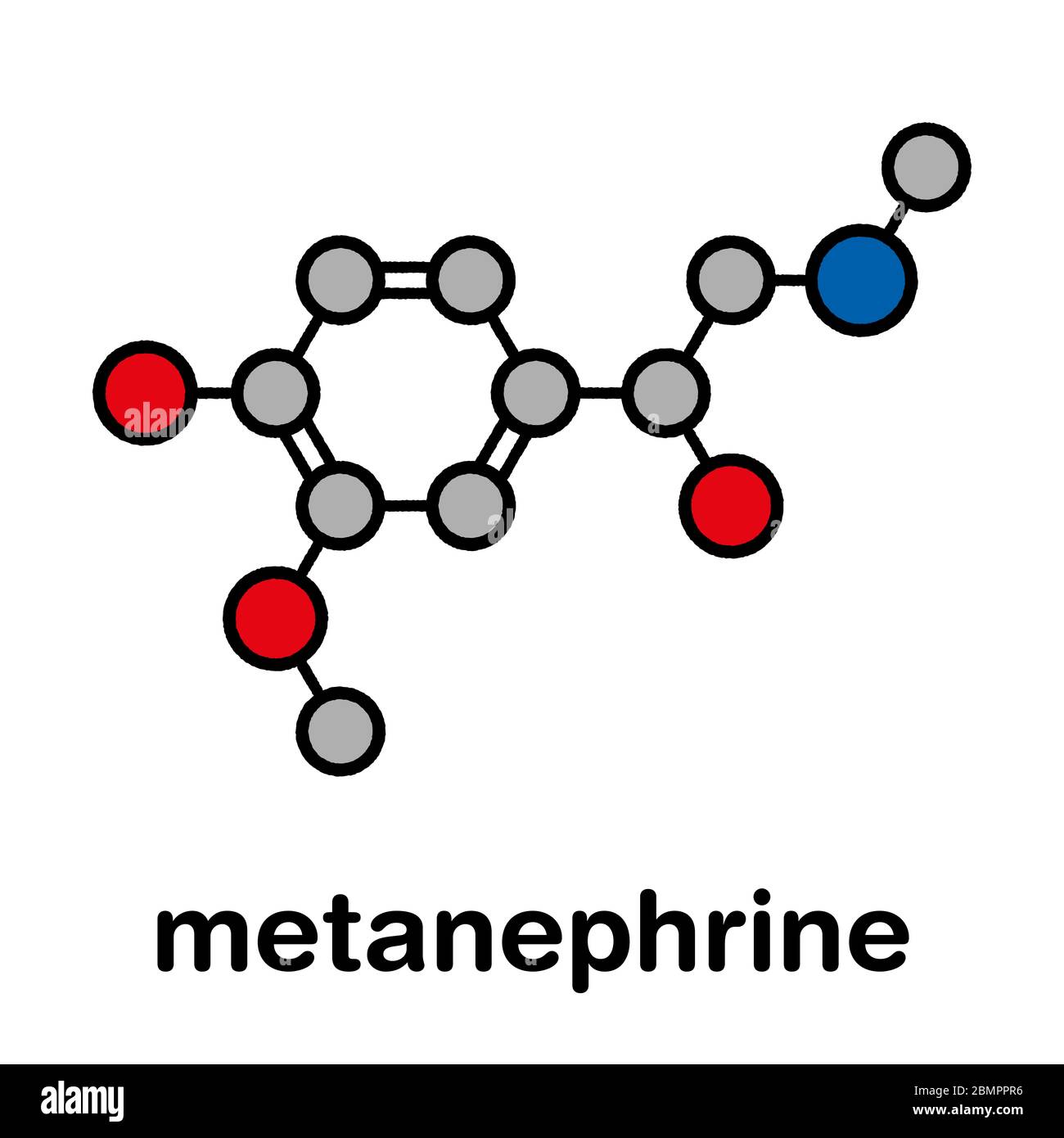 Metanephrine (metadrenaline) molecule. Metabolite of epinephrine that ...