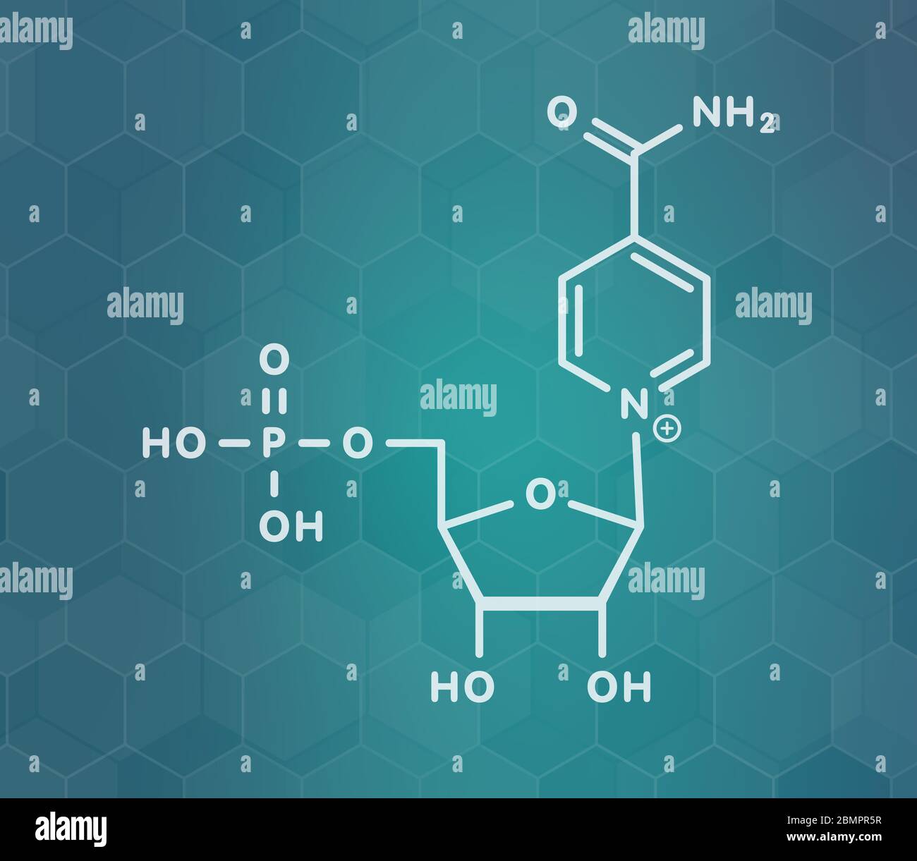 Nicotinamide mononucleotide molecule. Precursor of NAD+. Skeletal ...