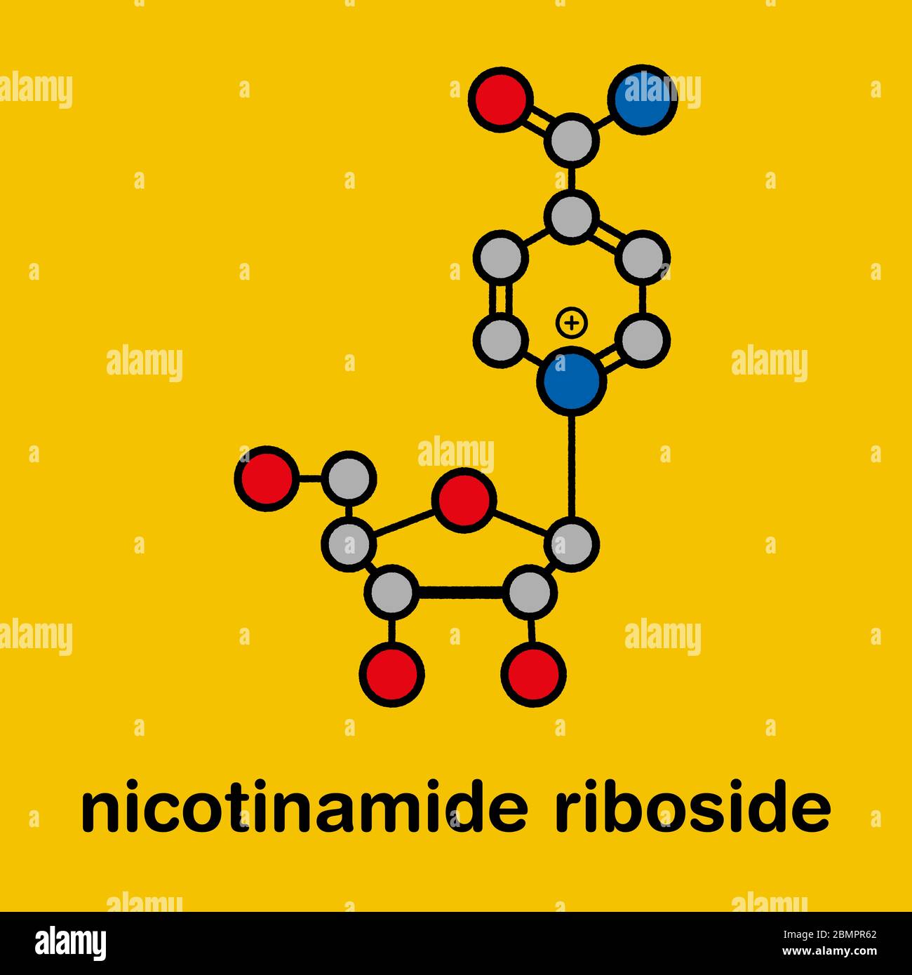 Nicotinamide riboside (NR) molecule. Precursor of nicotinamide adenine dinucleotide (NAD ...