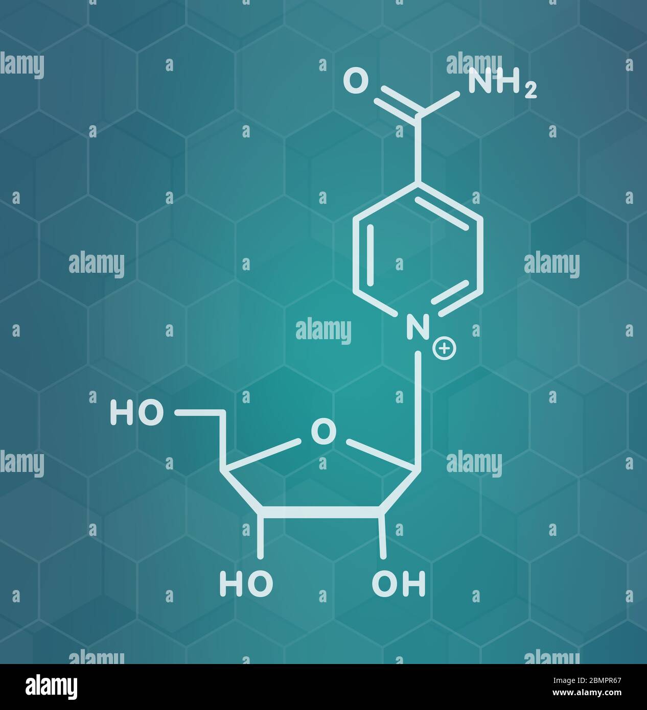 Nicotinamide riboside (NR) molecule. Precursor of nicotinamide adenine ...