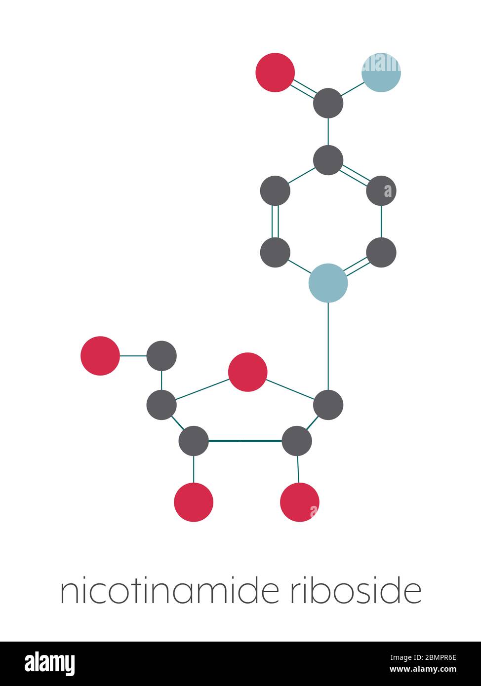 Nicotinamide riboside (NR) molecule. Precursor of nicotinamide adenine dinucleotide (NAD ...