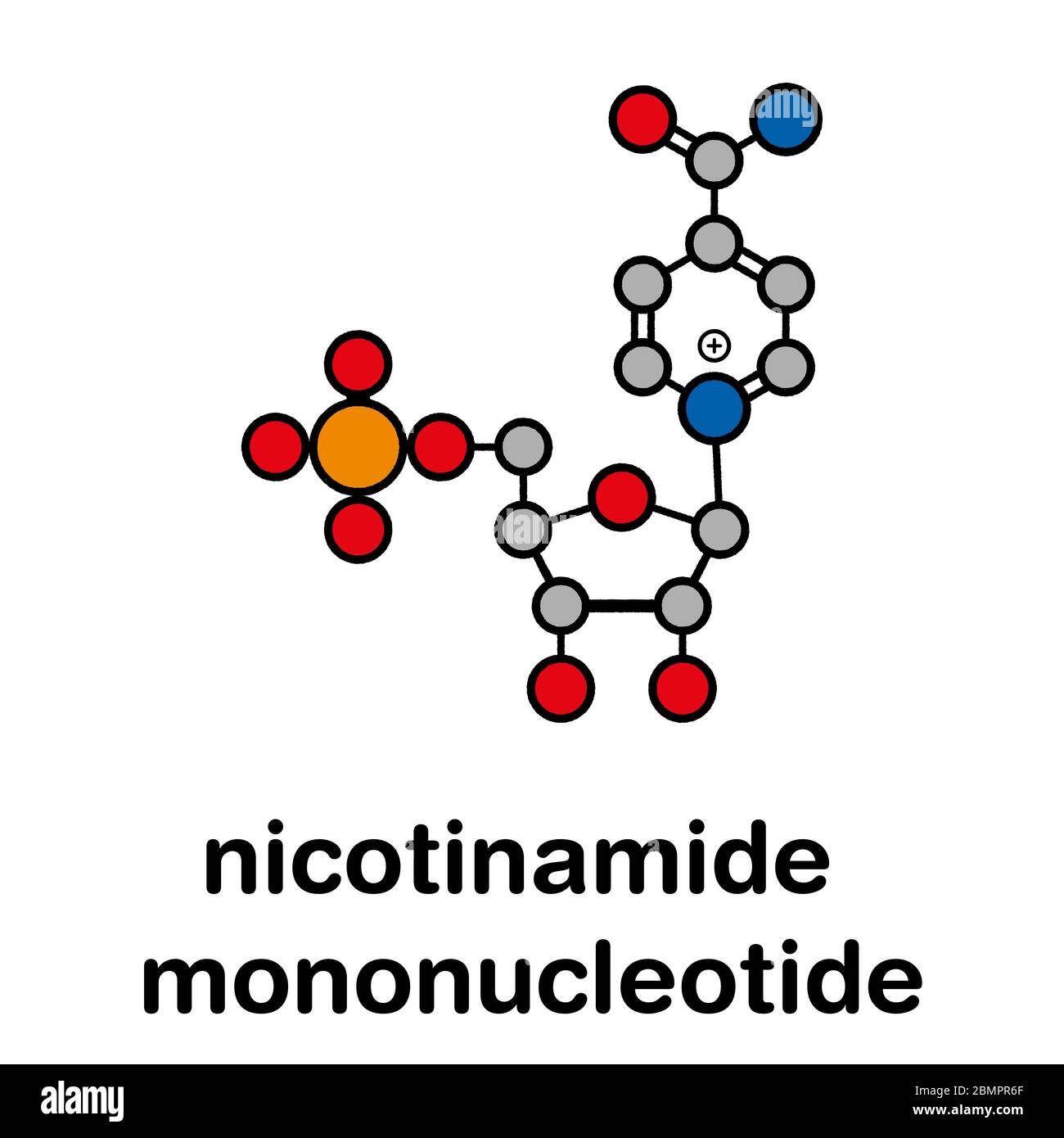 Nicotinamide mononucleotide hi-res stock photography and images - Alamy
