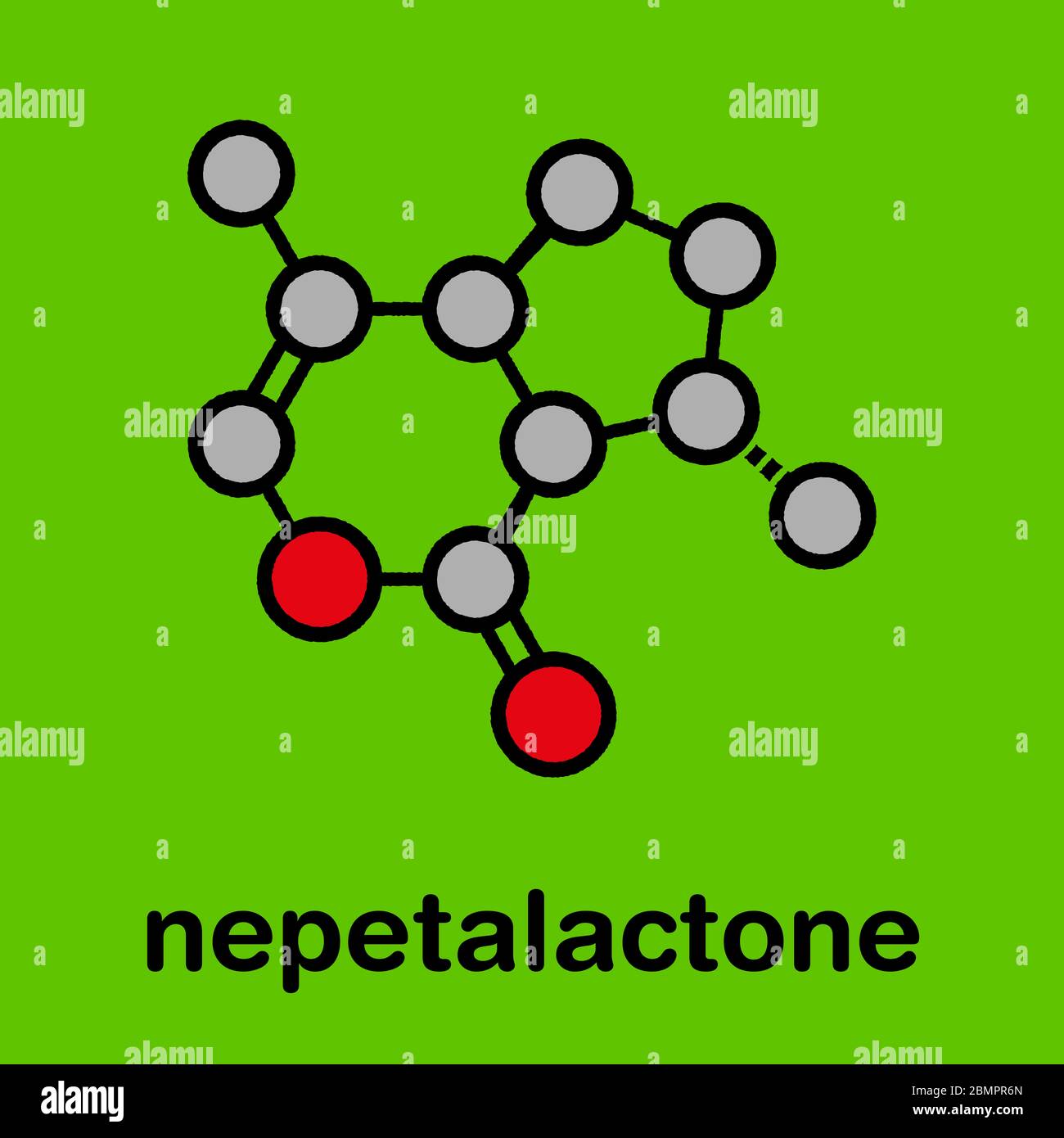 Nepetalactone catnip cat attractant molecule. Stylized skeletal formula ...