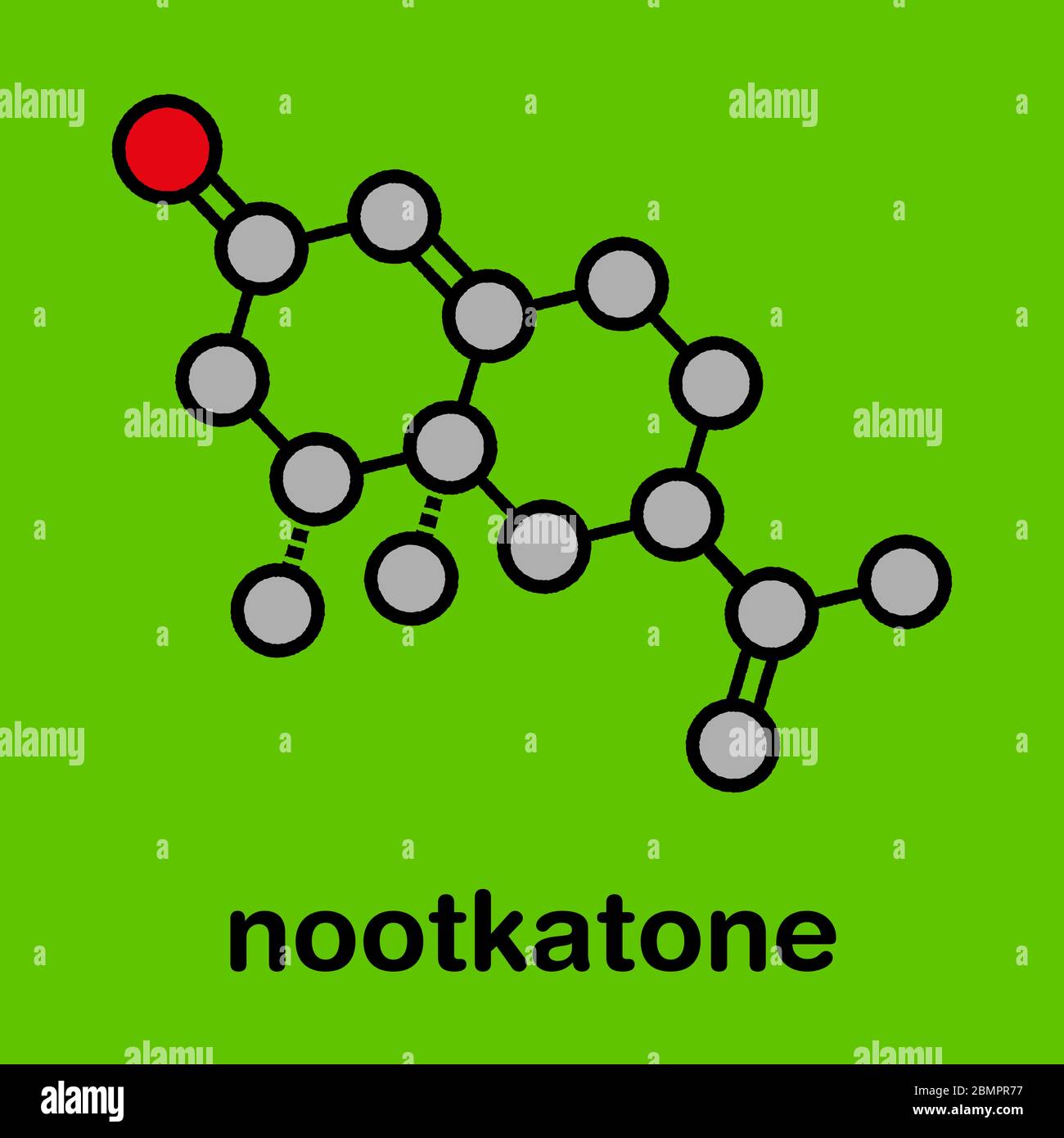 Nootkatone natural insect repellent molecule. Present in grapefruit ...