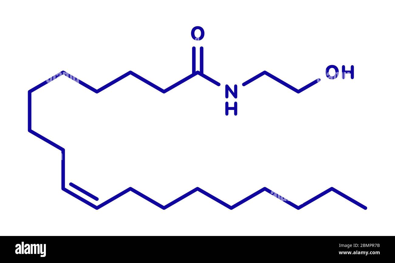 Oleoylethanolamide (OEA) endogenous peroxisome proliferator-activated ...