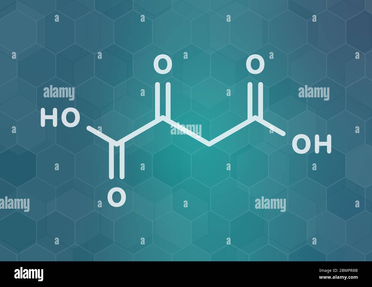 Oxaloacetic acid (oxaloacetate) metabolic intermediate molecule ...