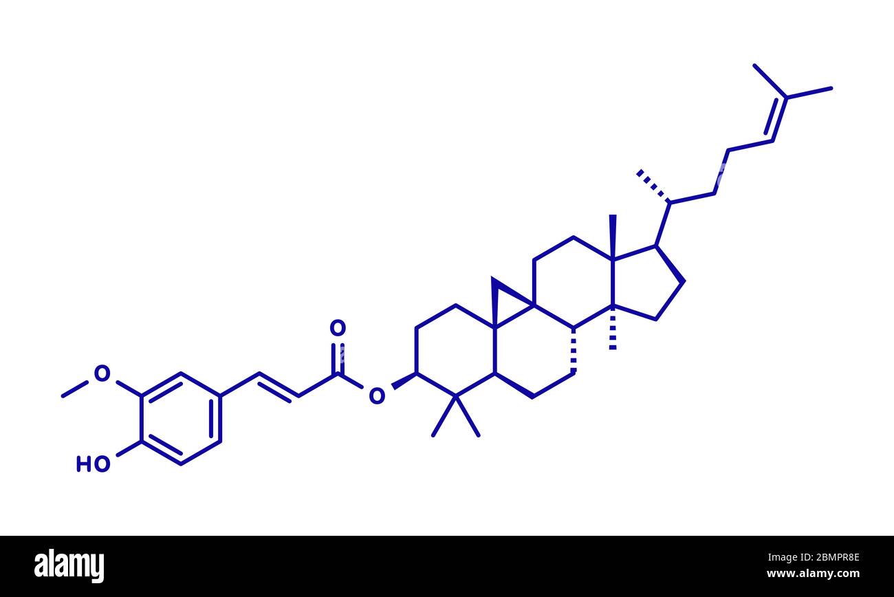 Cycloartenyl ferulate or oryzanol A molecule. Major component of gamma ...