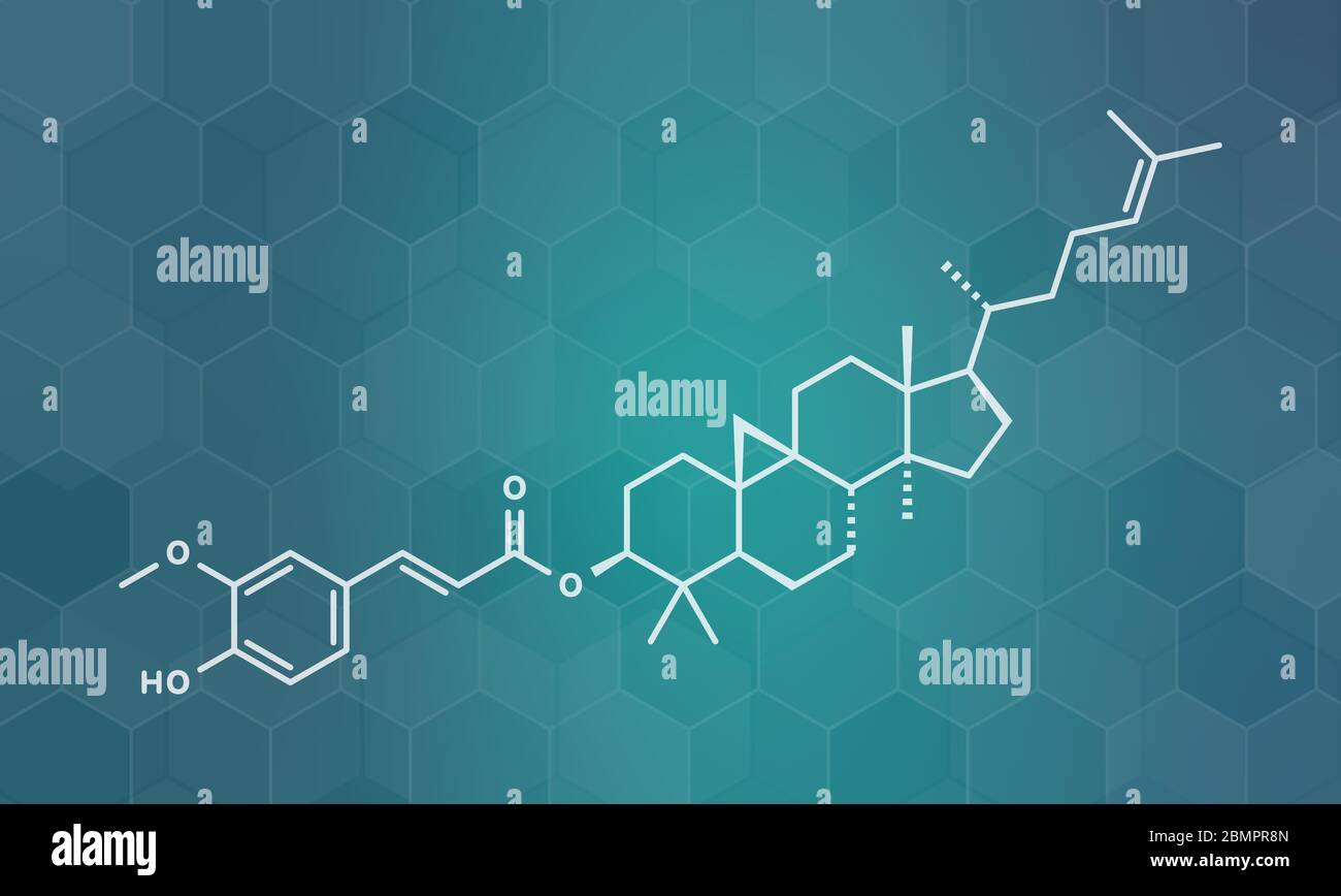 Cycloartenyl ferulate or oryzanol A molecule. Major component of gamma ...