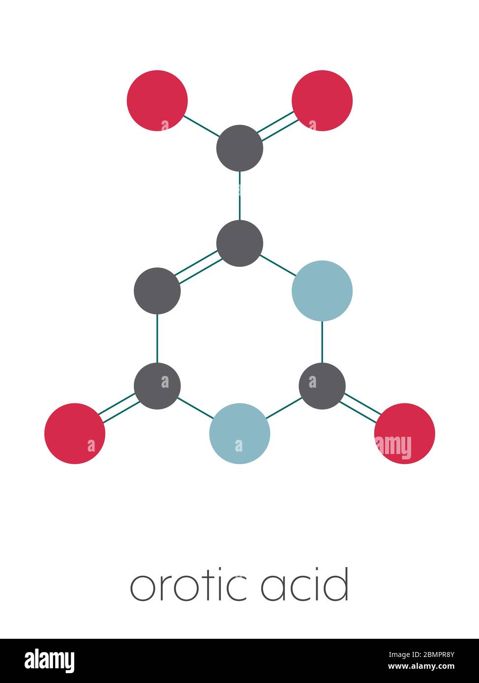 Orotic acid molecule. Stylized skeletal formula (chemical structure ...