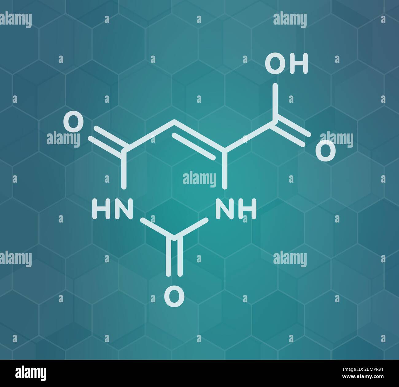 Orotic acid molecule. Skeletal formula Stock Photo - Alamy