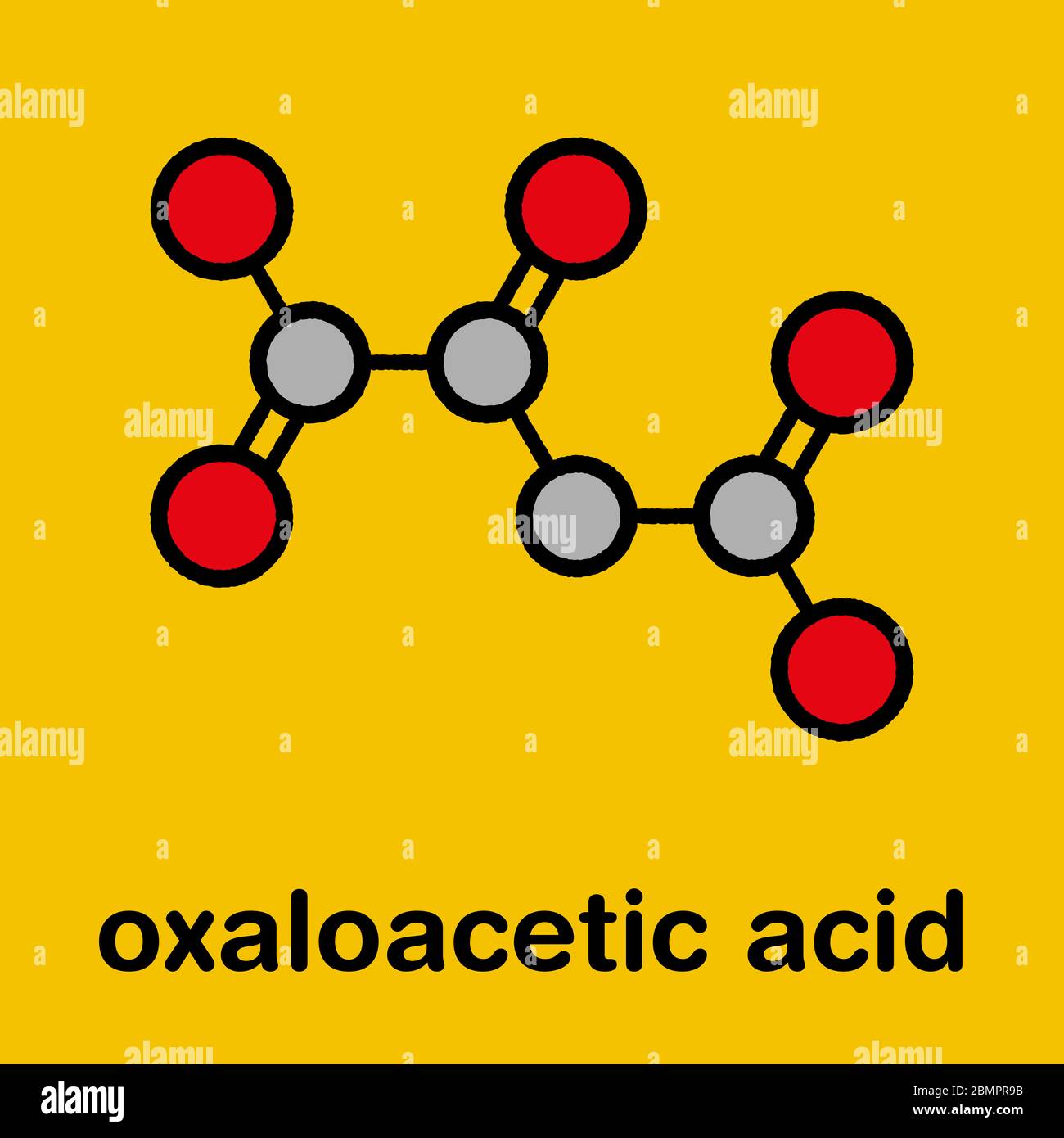 Citric Acid Cycle High Resolution Stock Photography and Images - Alamy