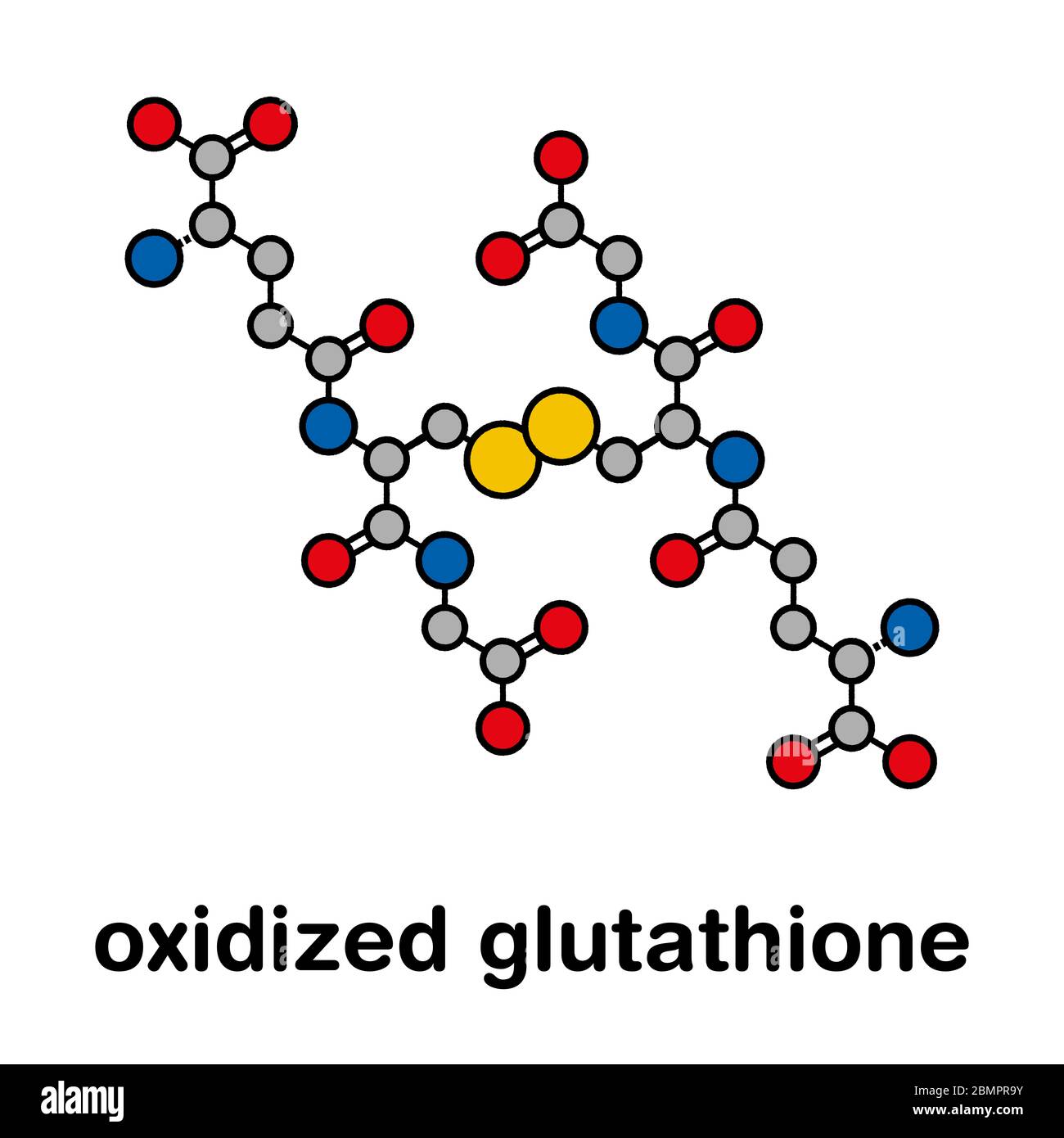 Oxidized glutathione hi-res stock photography and images - Alamy