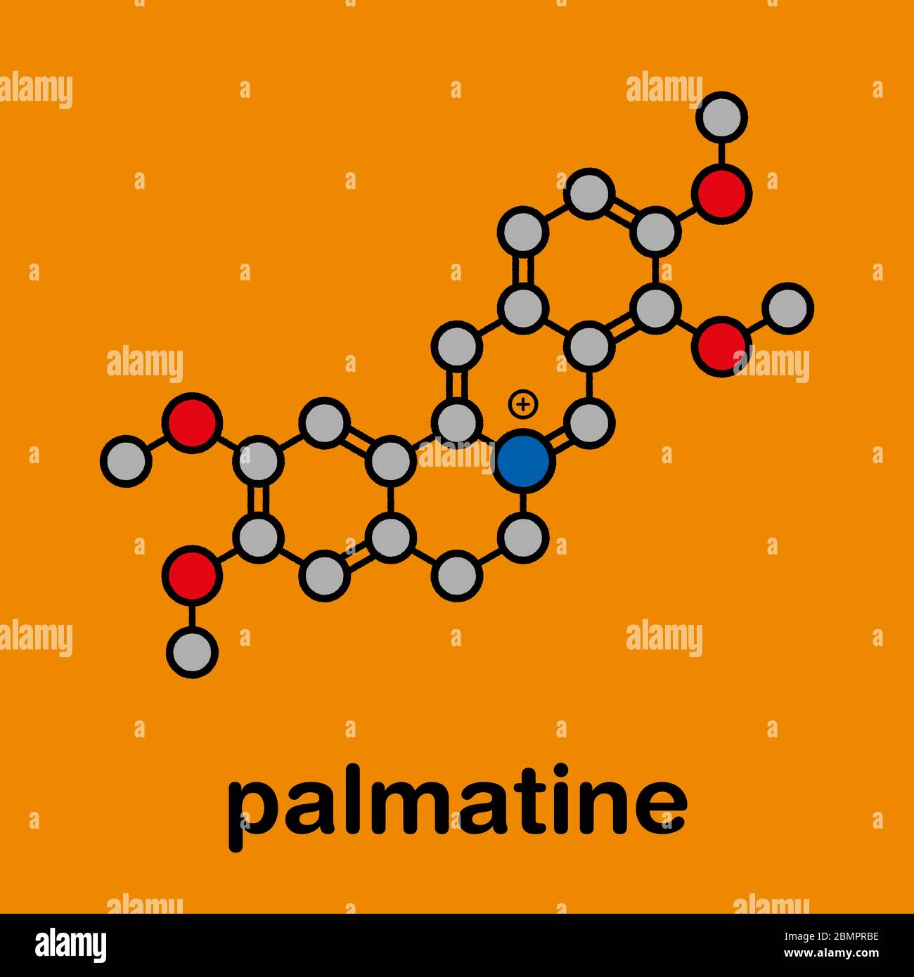 Palmatine herbal alkaloid molecule. Stylized skeletal formula (chemical ...